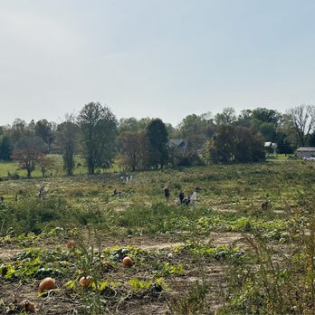 FOWLER PUMPKIN PATCH - Updated December 2025 - 32 Photos - 5060 N Greene County Line Rd ...