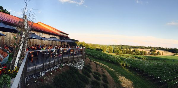 GRANDVIEW VINEYARD - Updated January 2026 - 130 Photos & 66 Reviews ...