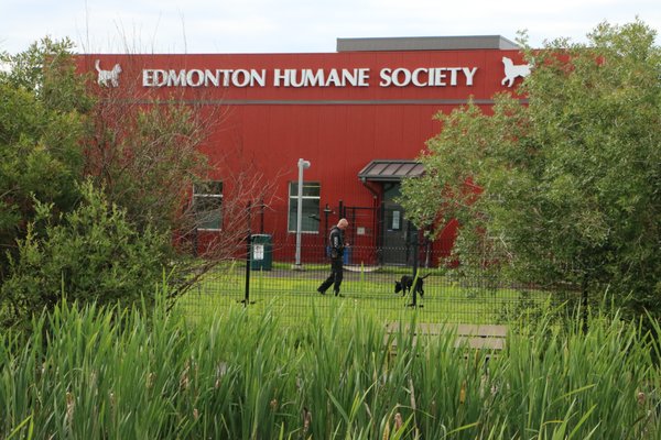 EDMONTON HUMANE SOCIETY - Updated December 2025 - 34 Photos & 59 ...