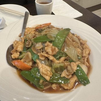 SOO CHOW GARDEN - Updated December 2024 - 104 Photos & 36 Reviews - 607 ...