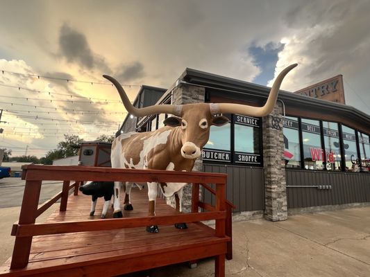 WILD COUNTRY MEATS - Updated December 2025 - 21 Photos - 300 S Broadway ...