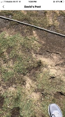 THE GOLF DRIVING RANGE - ROUND ROCK - Updated October 2025 - 18 Photos ...