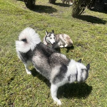 TRAILS & TAILS PARK - Updated December 2025 - 131 Photos & 76 Reviews ...