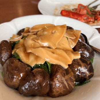 REGENCY PALACE - Updated January 2026 - 99 Photos & 68 Reviews - 328 ...