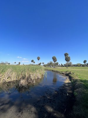 ROCKY POINT GOLF COURSE - 27 Photos & 48 Reviews - 4151 Dana Shores Dr ...