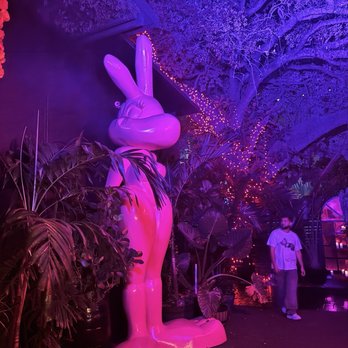 THE DIRTY RABBIT WYNWOOD - Updated January 2026 - 610 Photos & 411 ...