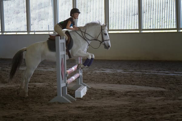 CONCORD EQUESTRIAN CENTER - Updated November 2025 - 24 Photos & 16 ...