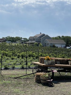 SUNSET TRAIL FARM - Updated December 2025 - 19 Photos - 1794 Sunset Trl ...