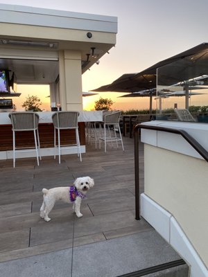 RISE ROOFTOP LOUNGE - 169 Photos & 93 Reviews - 1030 W Katella Ave ...