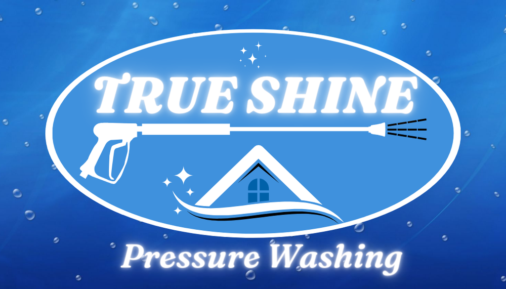 TRUE SHINE PRESSURE WASHING - Updated April 2024 - Surfside Beach ...