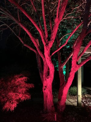 JC RAULSTON ARBORETUM - 555 Photos & 100 Reviews - 4415 Beryl Rd ...