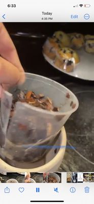 CANPAR EXPRESS - Updated October 2025 - 35 Photos & 625 Reviews - 201 ...