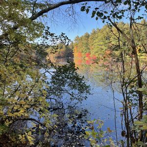 BUCKMASTER POND - Updated October 2025 - 12 Photos - 350 Pond St ...