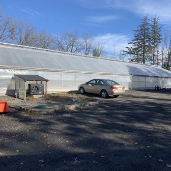 FRESH HEADS FARM SHOP - Updated January 2026 - 32 Photos - 7960 Reesor ...