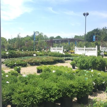 SHERIDAN NURSERIES - Updated December 2025 - 11 Photos & 16 Reviews ...