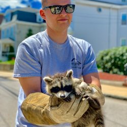 CATSEYE PEST CONTROL - 23 Photos & 19 Reviews - 470 Atlantic Ave ...