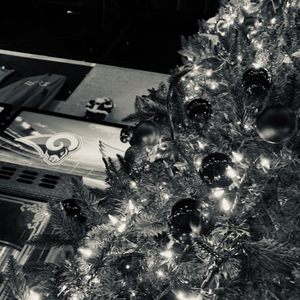 MAYFLY TAVERN - 14 Photos - 4532 N Summit St, Toledo, OH - Yelp