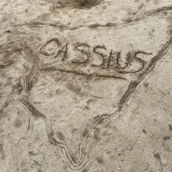 RIVER WALK PARK - Updated December 2025 - 145 Photos & 62 Reviews ...