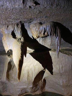 BLUESPRING CAVERNS PARK - 111 Photos & 31 Reviews - 1459 Blue Spring ...