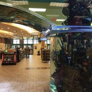 Scheels - 145 Photos & 168 Reviews - Sporting Goods - 11282 S State St ...