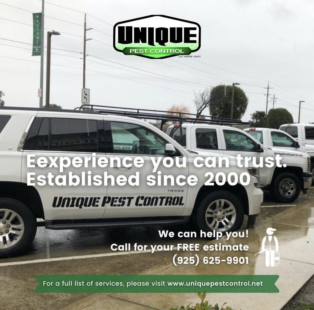 UNIQUE PEST CONTROL - Updated October 2025 - 16 Reviews - 1625 Main St ...