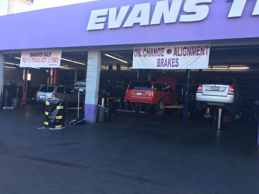 EVANS TIRE & SERVICE CENTERS - Updated July 2024 - 26 Photos & 113 ...
