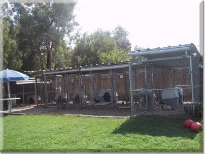 DOUBLE T KENNELS - Updated September 2024 - 39 Reviews - 5040 Barnard ...