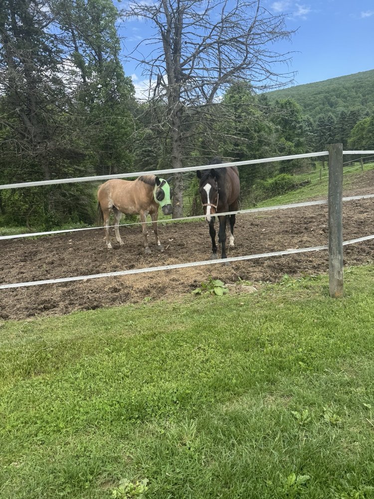 SKY VIEW FARM - Updated October 2025 - 321 Lower Cherry Valley Rd ...