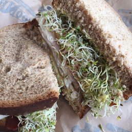 HIGH NOONER - Updated September 2025 - 24 Photos & 50 Reviews - 523 N ...