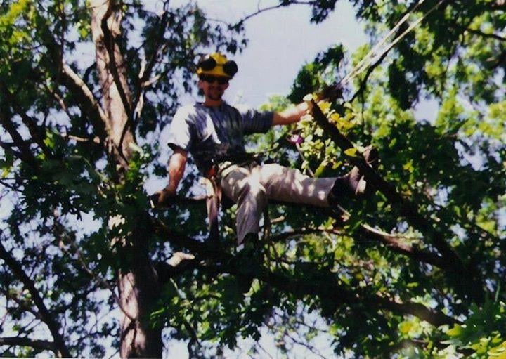 ARBOR WORKS TREE CARE - Updated February 2025 - 13 Photos - 155 E Price ...