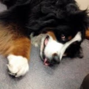 MEENA MEDICAL GROUP - Updated December 2025 - 25 Reviews - 1600 ...