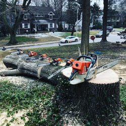 EXECUTIVE BRANCH TREE SERVICE - 112 Photos & 26 Reviews - Tree Services ...