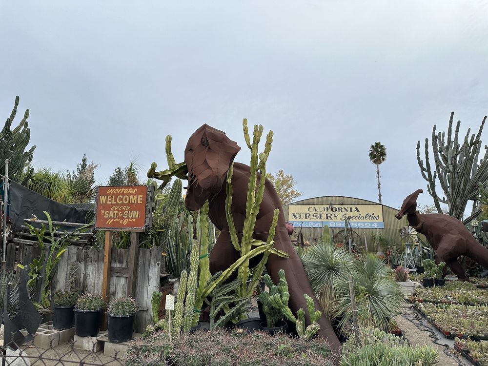 CALIFORNIA CACTUS RANCH - Updated December 2025 - 350 Photos & 91 ...