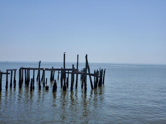 CEDAR KEY FISHING PIER - Updated January 2026 - 11 Photos - 550 Dock St ...