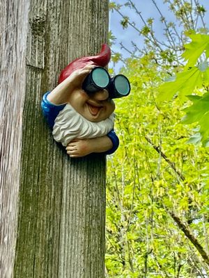 VALLEY OF THE GNOMES - Updated April 2025 - 23 Photos - 3904 E Pine St ...