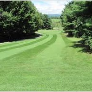 ORCHARD CREEK GOLF CLUB - Updated October 2025 - 21 Photos & 24 Reviews ...