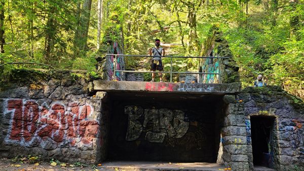 MACLEAY PARK - Updated October 2024 - 387 Photos & 75 Reviews - 2998 ...