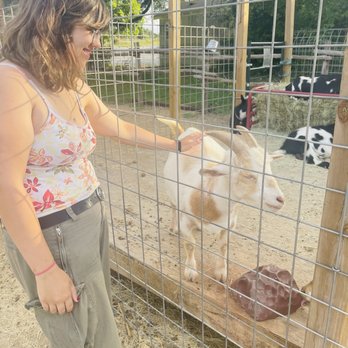 SCREAMING GOAT YARD & TAP - Updated July 2024 - 283 Photos & 174 ...