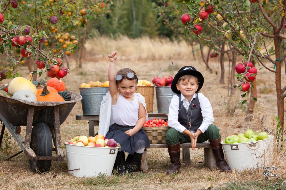 HOWLING MOON CIDER HOUSE - Updated June 2026 - 7952 Highway 97, Oliver ...