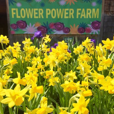 FLOWER POWER FARM - 55 Photos & 15 Reviews - Nurseries & Gardening ...