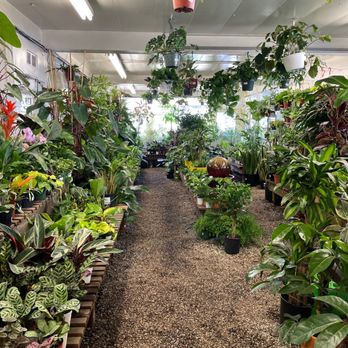 FLOWERCRAFT GARDEN CENTER - Updated November 2025 - 704 Photos & 239 ...