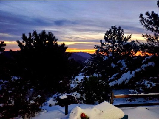 KQ RANCH - 403 Photos & 215 Reviews - 449 Kq Ranch Rd, Julian, CA - Yelp