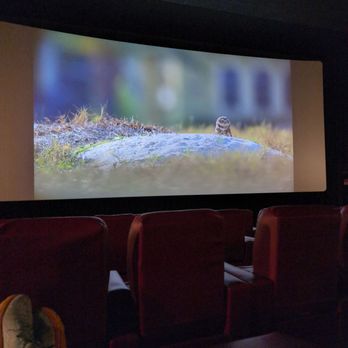 AMC FACTORIA 8 - Updated December 2025 - 134 Photos & 178 Reviews ...