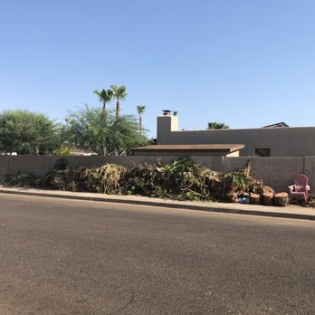 SAM THE TREE GUY - Updated June 2025 - 22 Photos & 17 Reviews ...