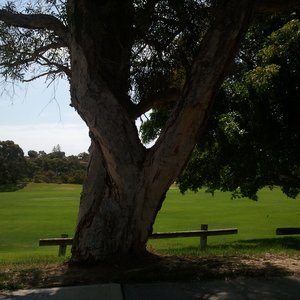 BALGA AQUATIC CENTRE - Princess Rd, Balga Western Australia, Australia ...