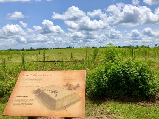 CADDO MOUNDS STATE HISTORIC SITE - Updated July 2025 - 29 Photos - 1649 ...