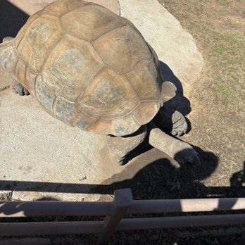 TULSA ZOO - Updated August 2025 - 529 Photos & 142 Reviews - 6421 E ...