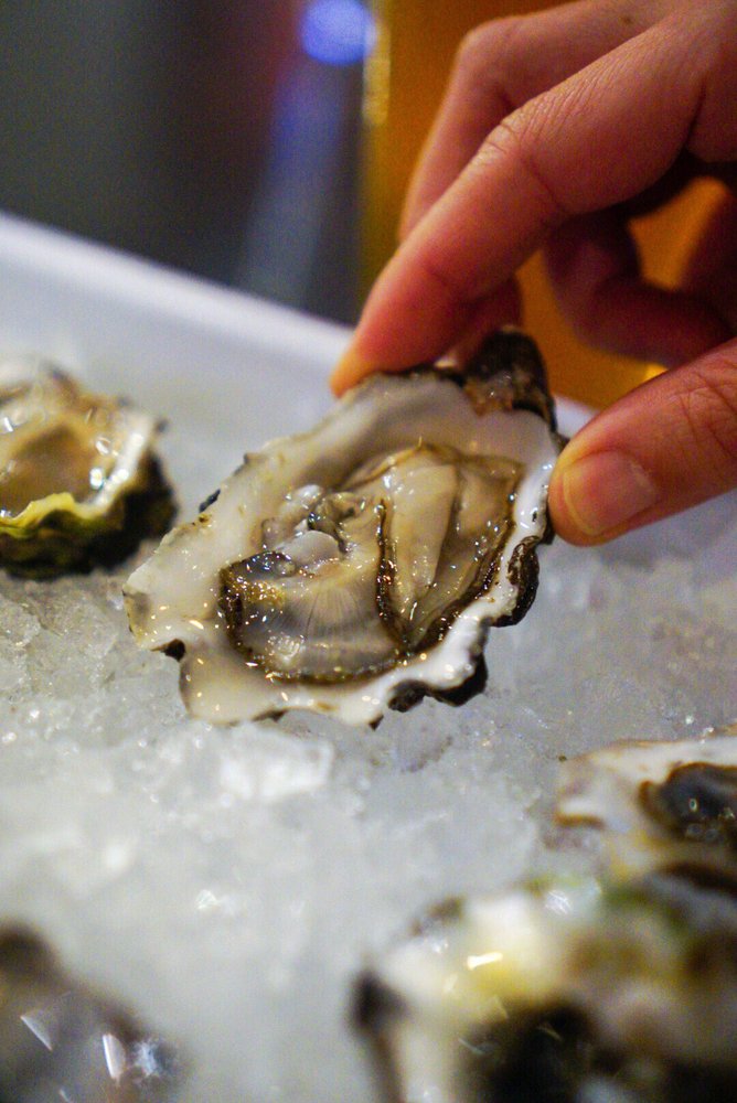 BAR HARBOR - 347 Photos & 289 Reviews - 400 Fairview Ave N, Seattle ...