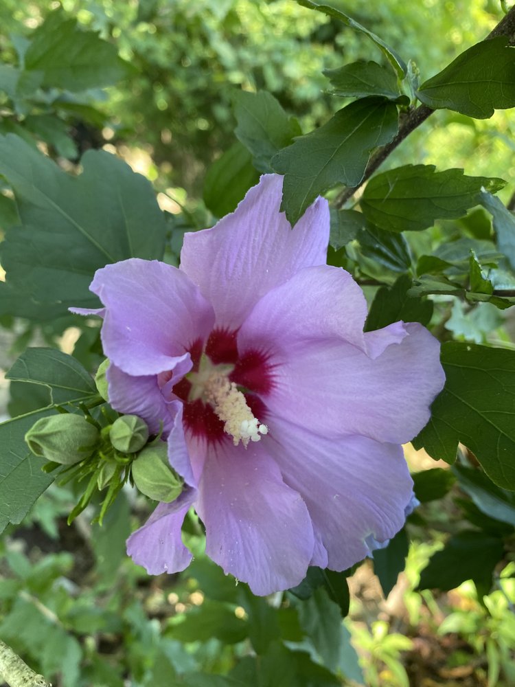 PALISADES INTERSTATE PARK STATE LINE LOOKOUT - 309 Photos & 52 Reviews ...
