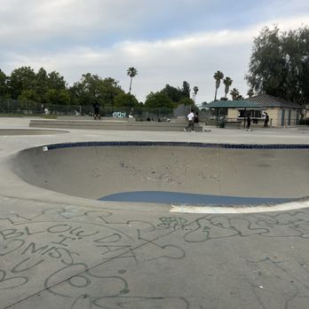 PEDLOW FIELD SKATE PARK - Updated July 2025 - 17 Photos & 27 Reviews ...